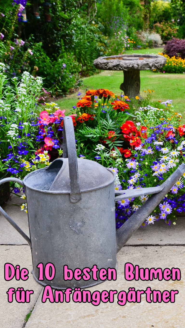 Die 10 besten Blumen für Anfängergärtner 🌻🌷 | Garten Ideen