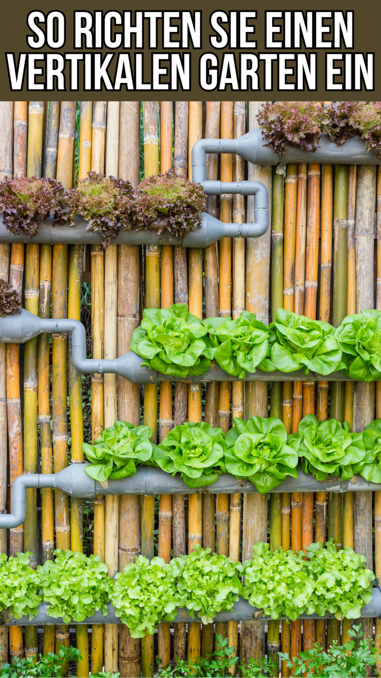 So richten Sie einen vertikalen Garten ein 🌿🏢 | Garten Ideen