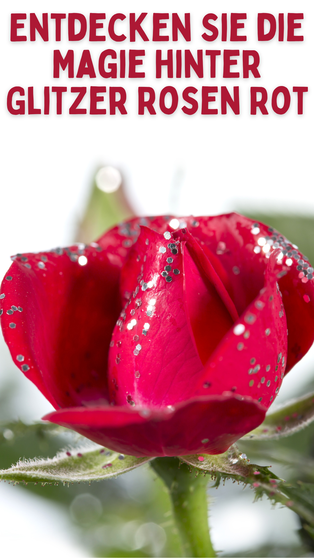 Entdecken Sie die Magie hinter Glitzer Rosen Rot: Ein Geheimnis, das ...